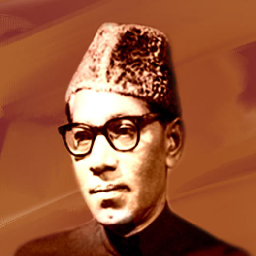 articles collections by Rekhta