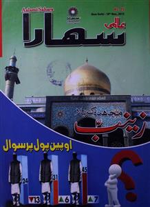 Aalami Sahara Shumara Number-029 | Rekhta