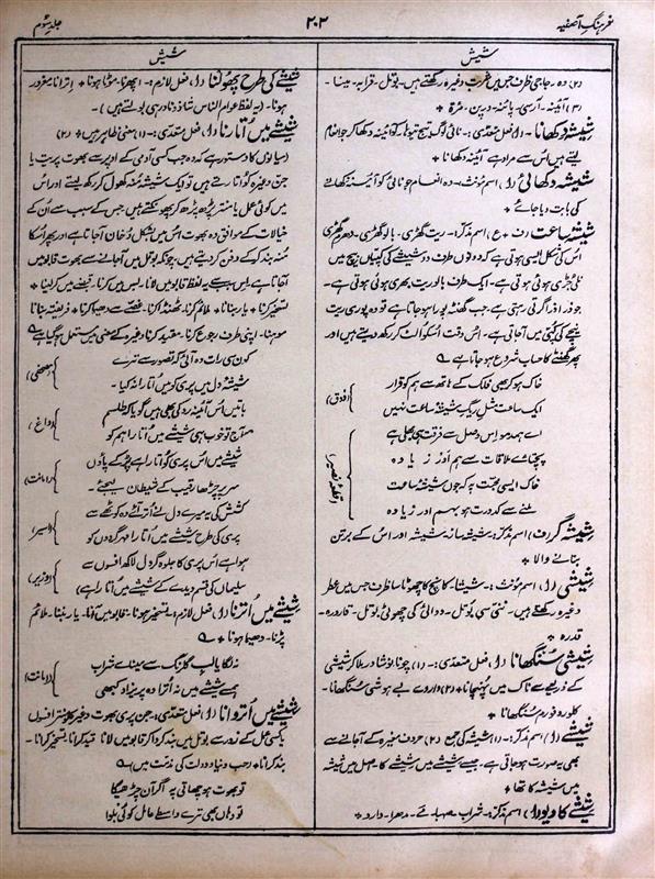 Meaning of shiisha-ruu | Rekhta